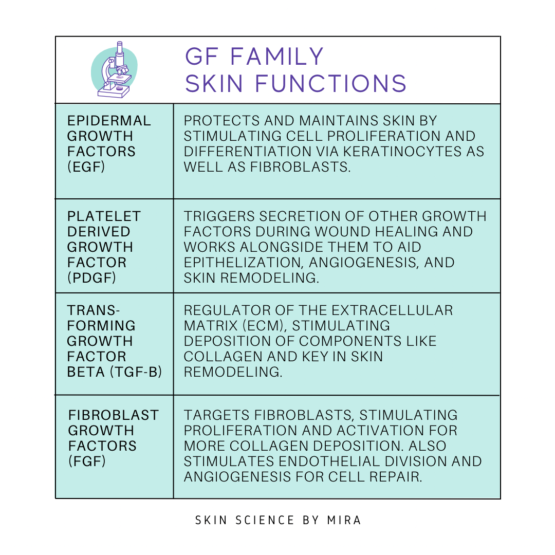 The Truth About Growth Factors – Skin Science by Mira